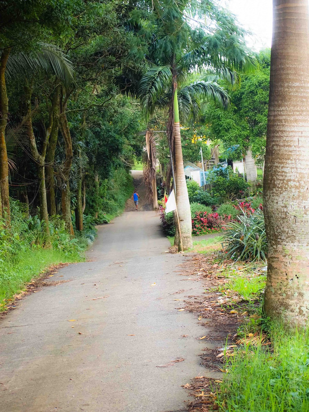 Tagaytay Haven Hotel I (Ulat) | My Wanderland