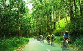 Munnar Holidays: LOCKHART GAP - MUNNAR