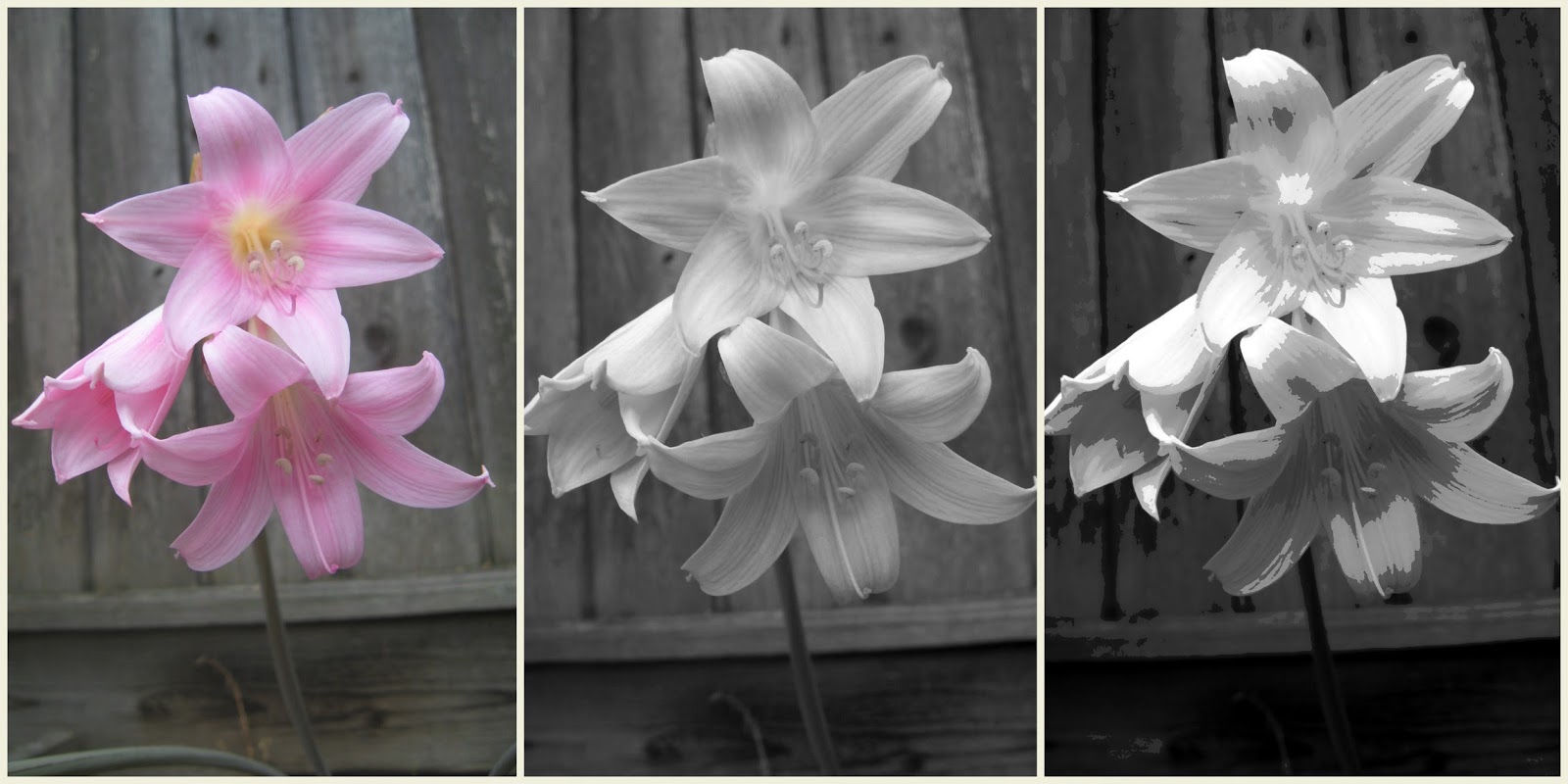 Fables of Fused Floral Fails and Finally a Finish!