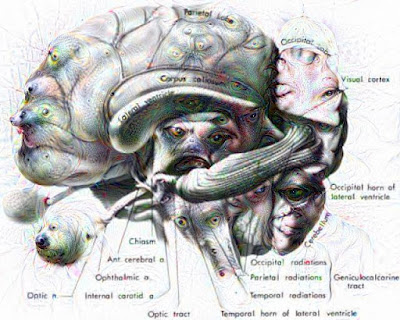 The Neurocritic: Scary Brains and the Garden of Earthly Deep Dreams