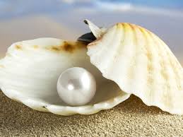 Kisah Transformasi # Part 1 ~ Ry : Sebutir Debu diantara Butiran Mutiara