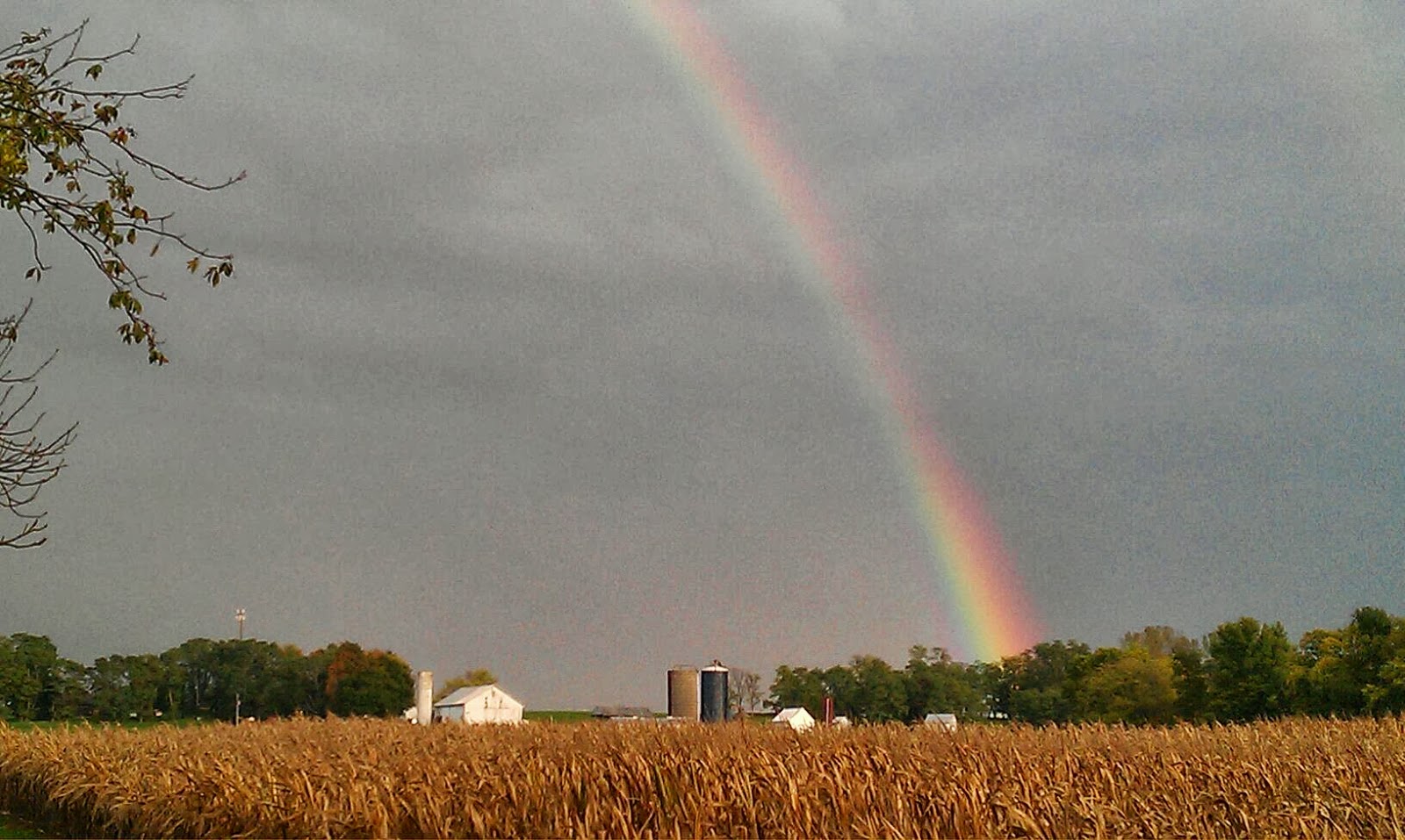 Jean's Boots Are Made For Talking: Rainbow Language