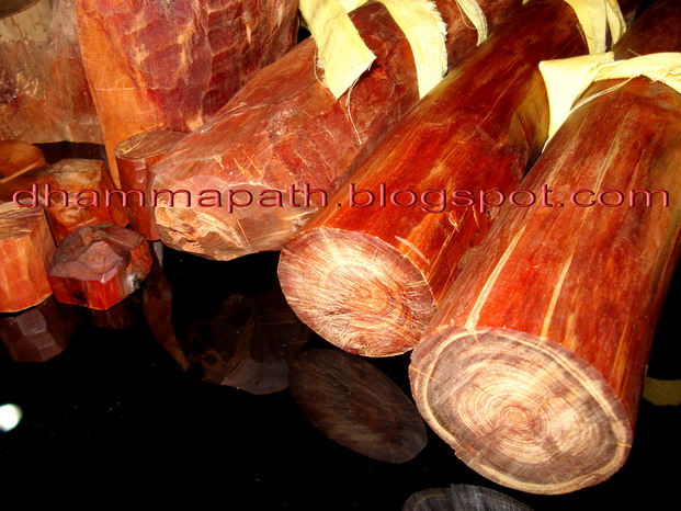 Dhamma Path Blog: Raja Kayu ~ The Magical King Of Wood Energy.