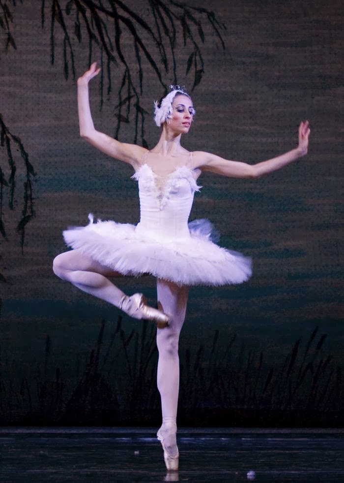 Entre tutús: Imágenes de ballet