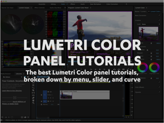 Tutorial Memahami dasar Menggunakan Lumetri Colour di Premiere Pro