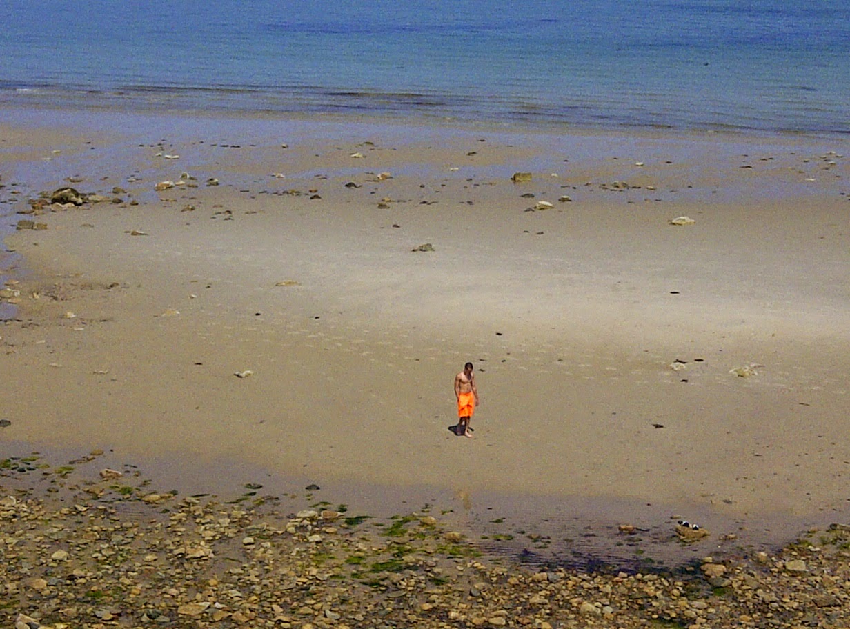 2 or 3 lines (and so much more): Frank Sinatra -- "Summer Wind" (1966)