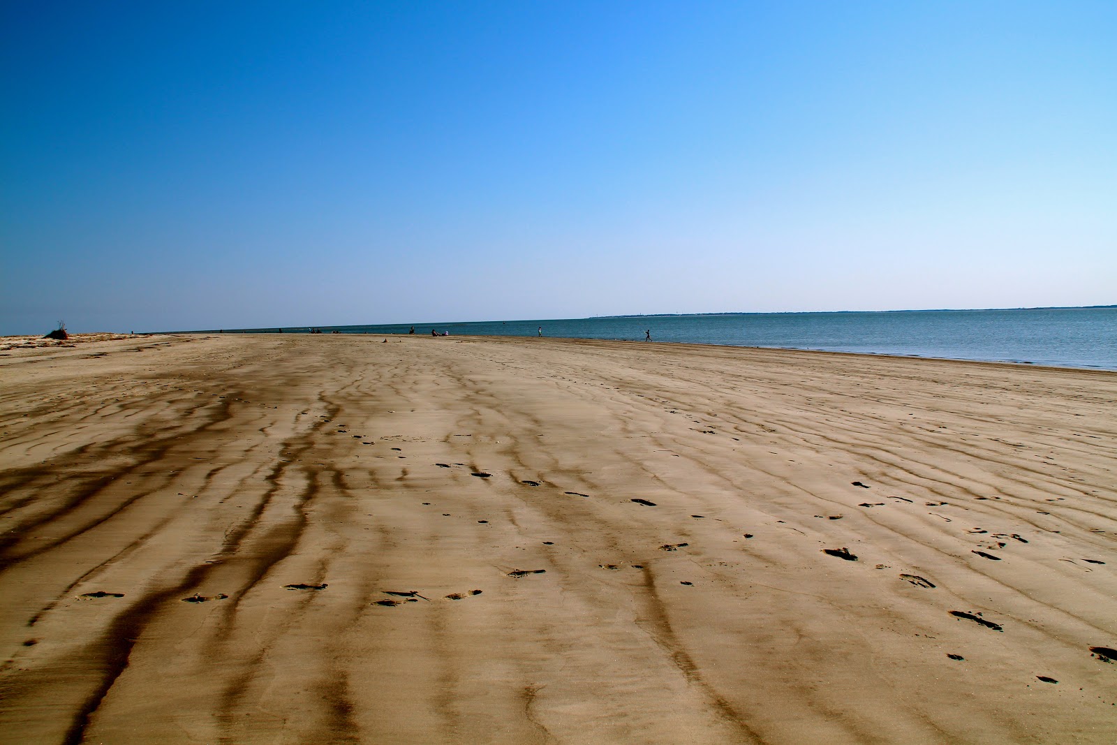 Sabrina Spanish 3 Blog