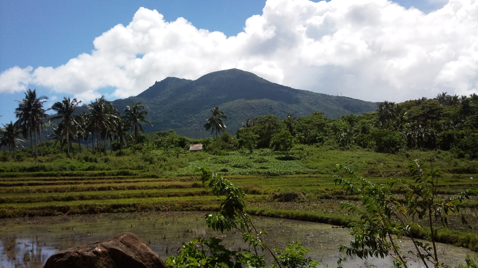 pork n vince: Mount Malindig, Marinduque - 1157 MASL
