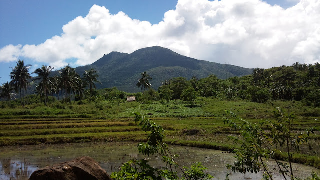 pork n vince: Mount Malindig, Marinduque - 1157 MASL
