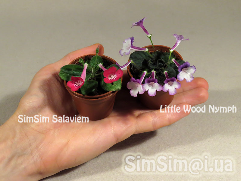 Beauty will save the world!!!