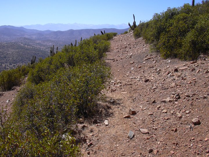 Aprender Viajando ...: Arte rupestre de El Coligüe (IV Región-Chile 2004)