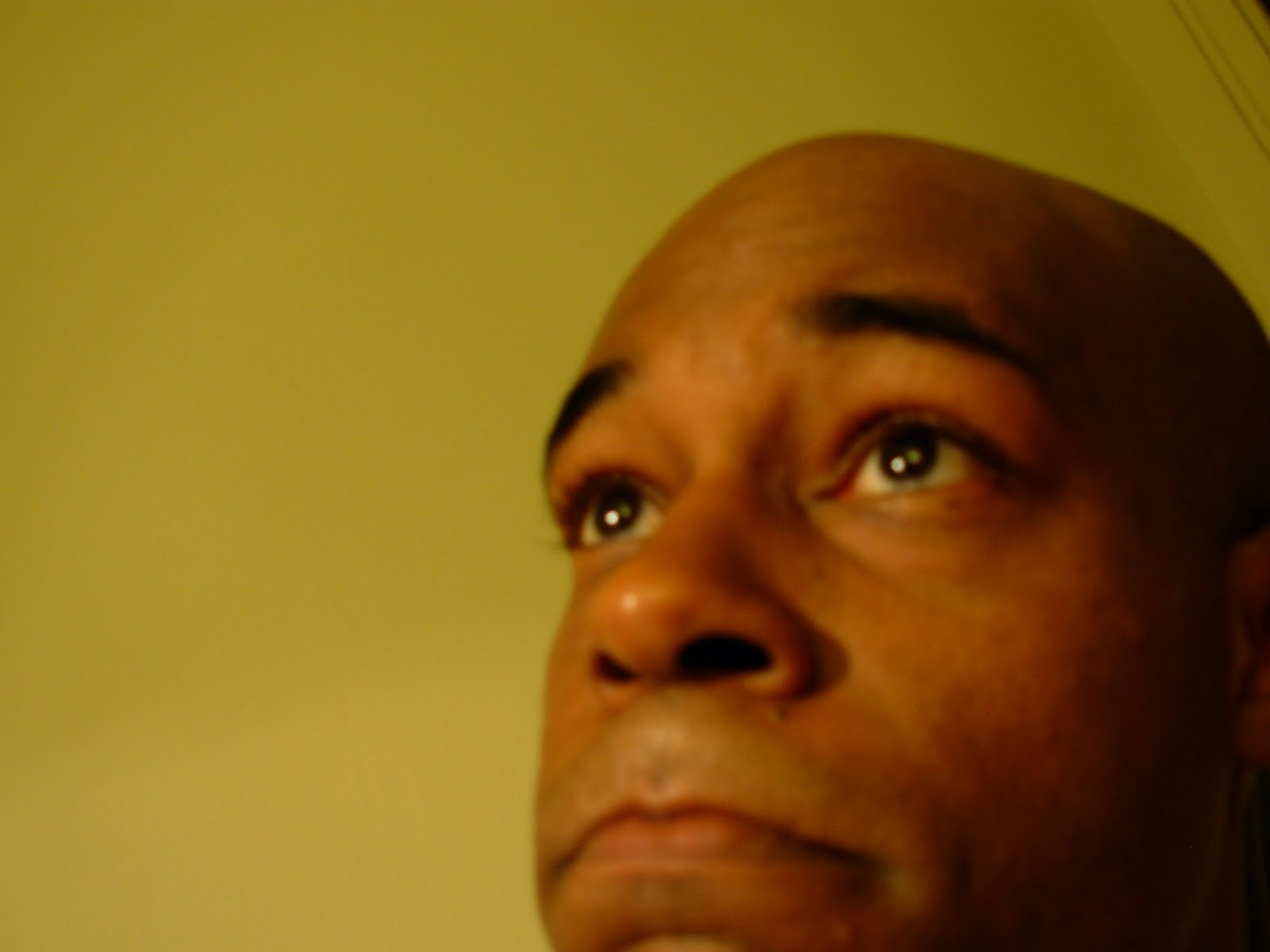 I Want the Brain of Rich B. Knight NEEOOW!: Operation Beard Growth ...