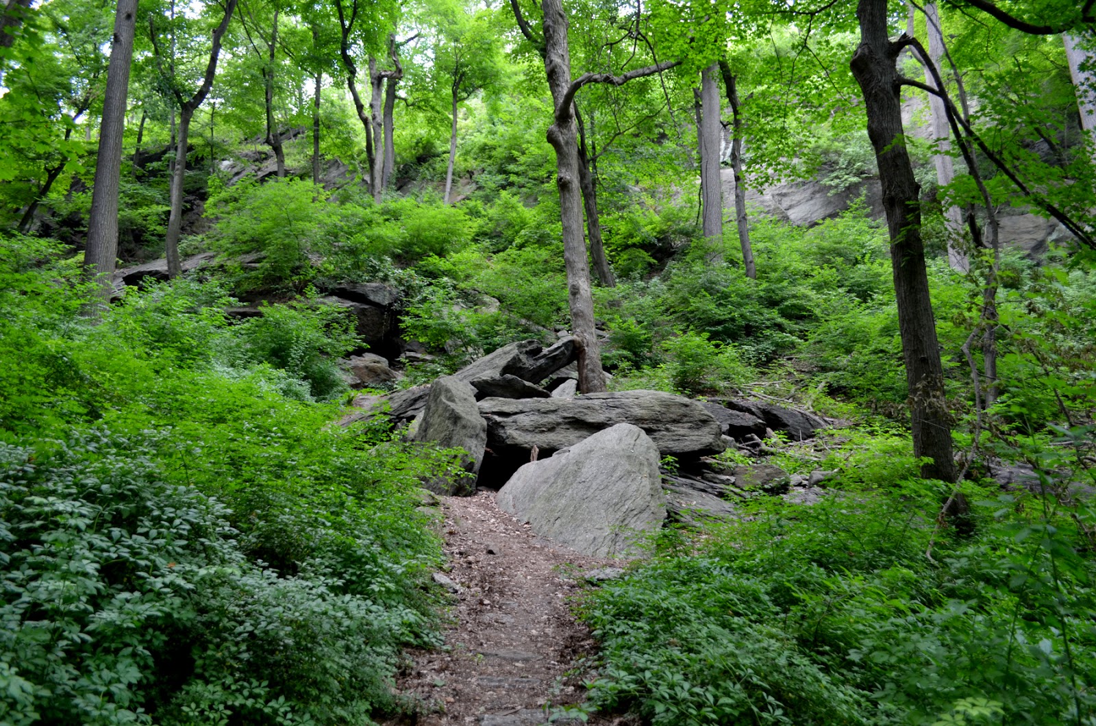 This Hidden City: Inwood Hills Park + Marble Arch