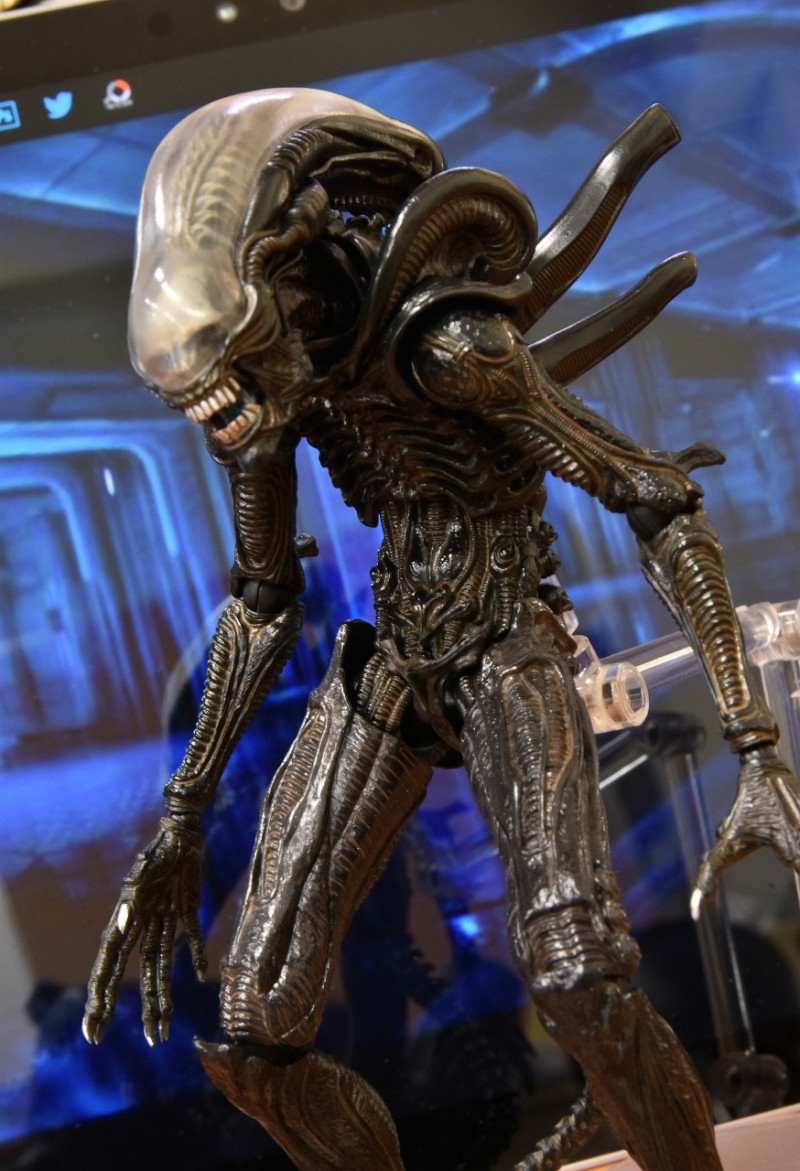 The Dork Review: Rob's Room: Alien – Figma Big Chap Alien Takeya ...