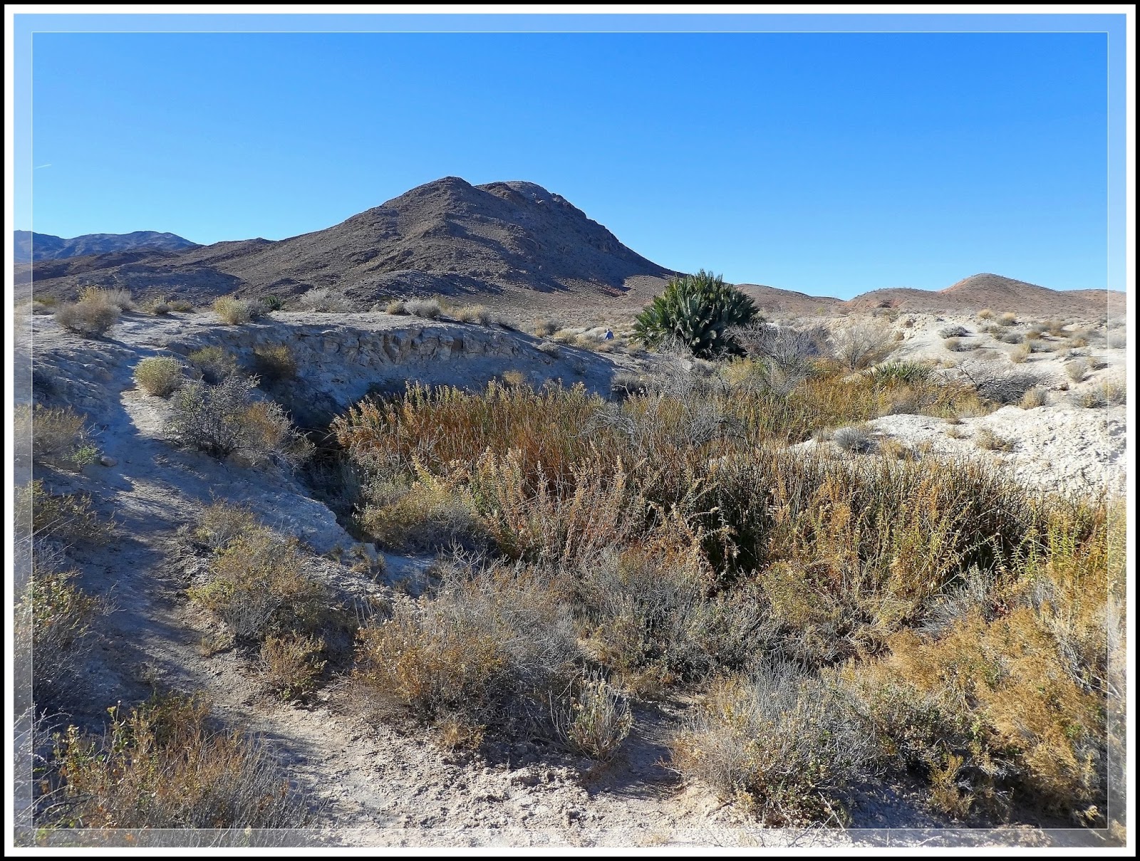 Ken's Photo Gallery: Blue Point Spring