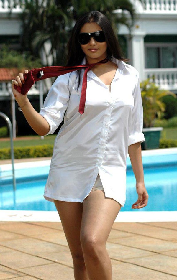 all hot and sexy stills of namitha: namitha hot in white shirt