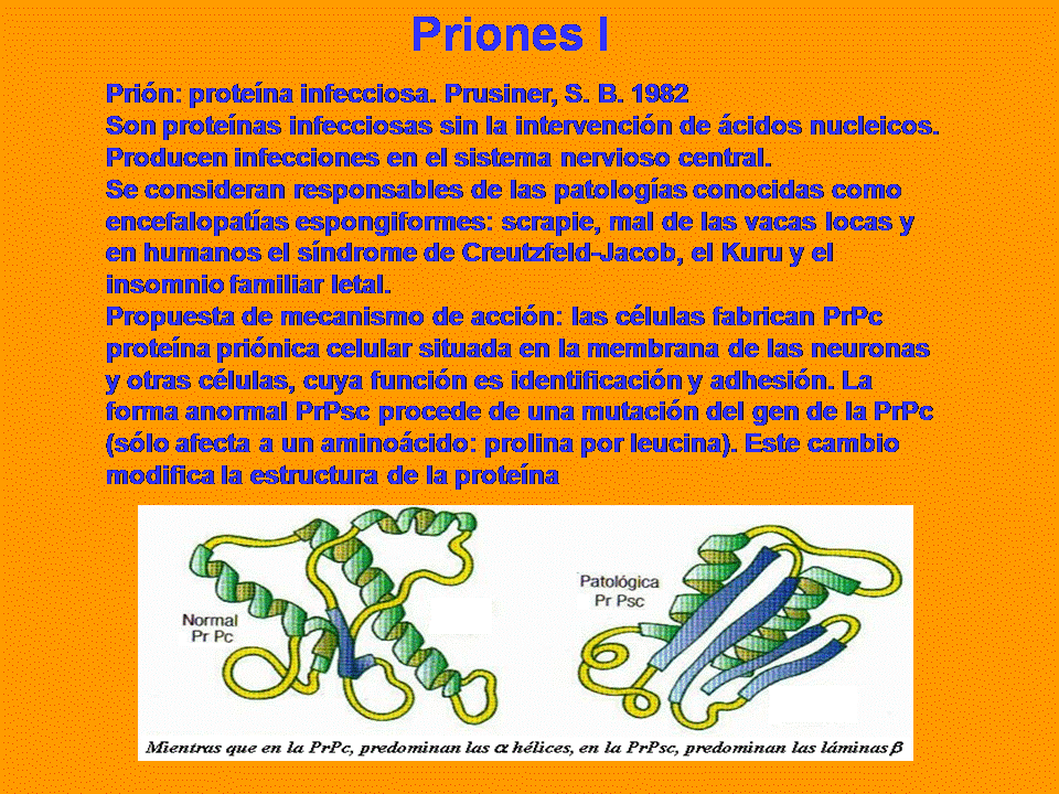 M1012: VIROIDES, VIRUSOIDES Y PRIONES