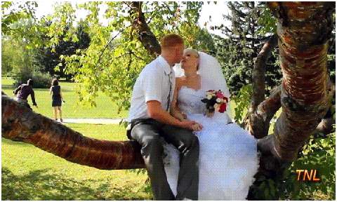 Funny Wedding Gifs (20 gifs) ~ Amazing Facts