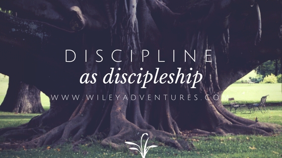 Discipline As Discipleship - Wiley Adventures