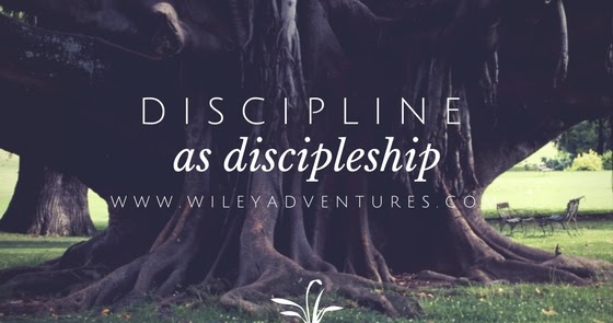Discipline As Discipleship - Wiley Adventures