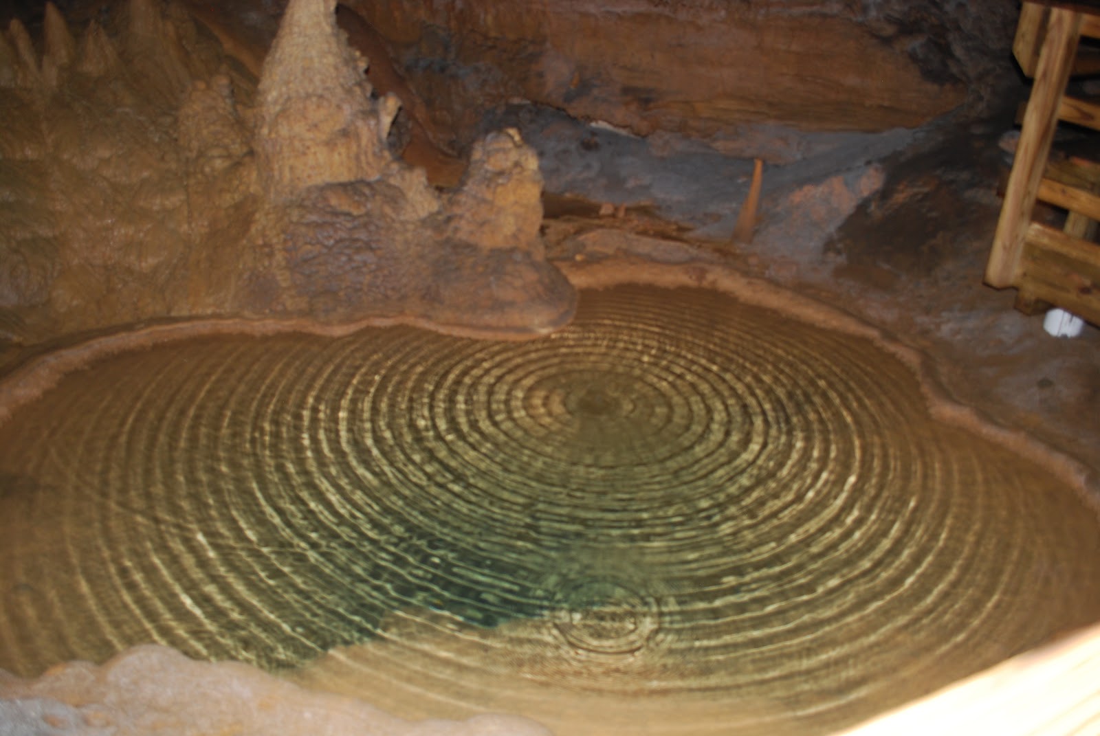 Midwest Family Traveler: Cub Run Cave: Cub Run, Kentucky