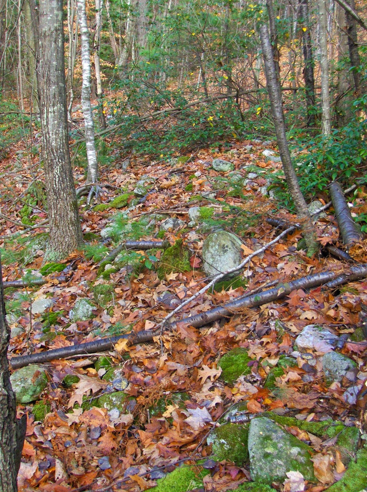 Rock Piles: Long stone mounds and small "snake effigy" high up in the ...