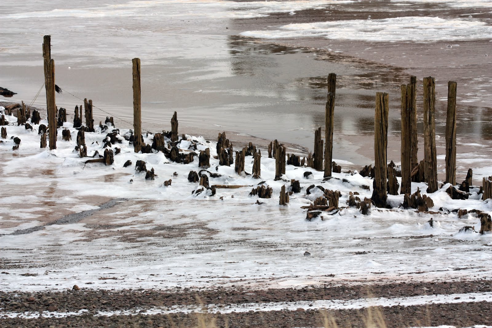 Carol Steel: Parrsboro, Nova Scotia
