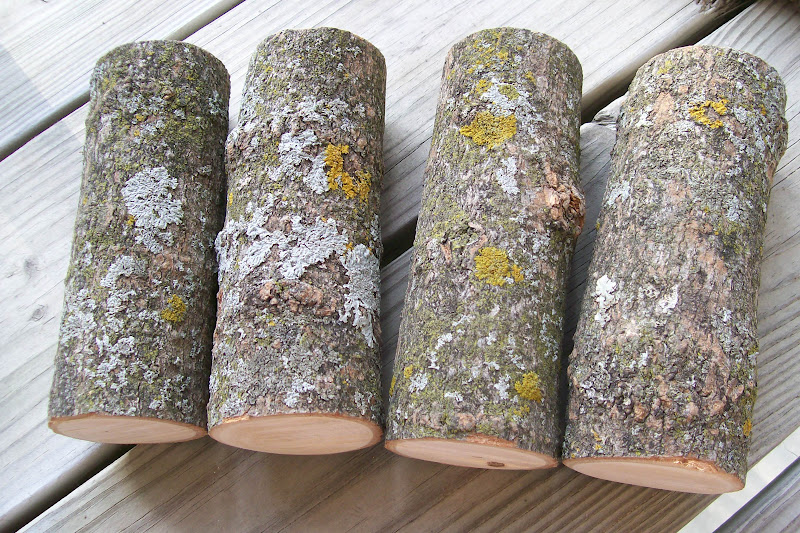 DIY Tree Trunk Cupcake Stand | Alina Sewing + Design Co.