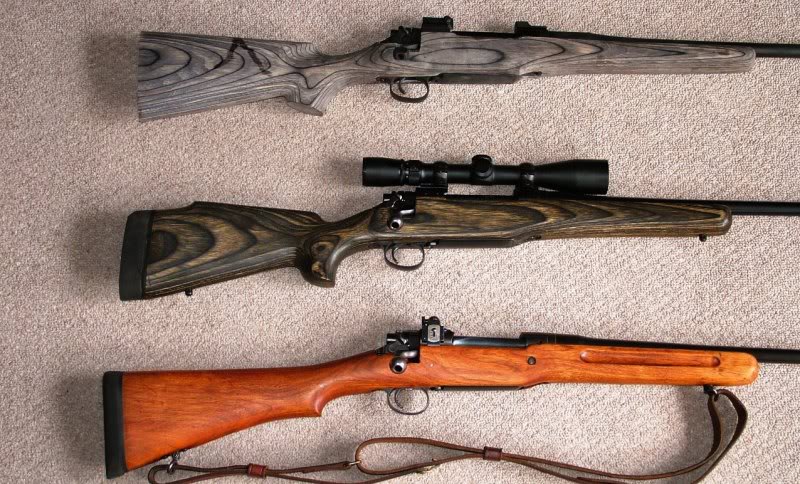 oddarena: Most Amazing Rifle M1917 Enfield