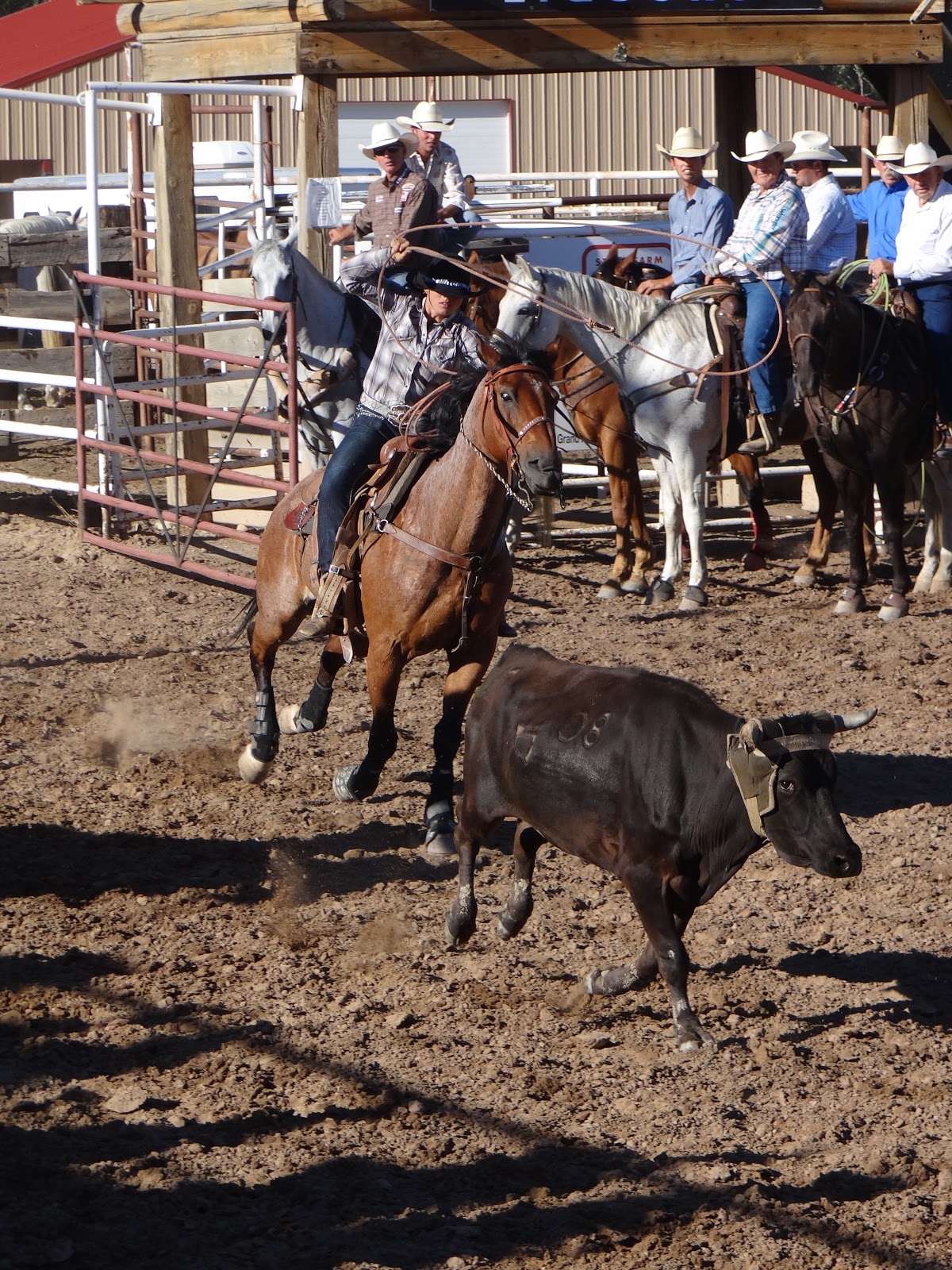 Here's to all about Fruita.: Rodeo nght at Rimrock August 16 provided ...