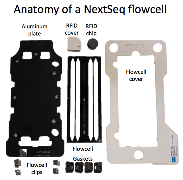 Anatomy of a NextSeq flowcell - Enseqlopedia