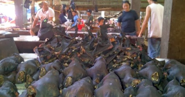 Pasar Beriman Tomohon - Pasar Makanan Dari Hewan Yang Sangat Mengerikan ...