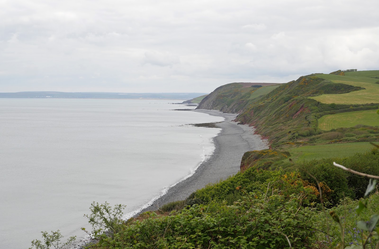 Walking in the country: Peppercombe to Westward Ho! (South West Coast ...