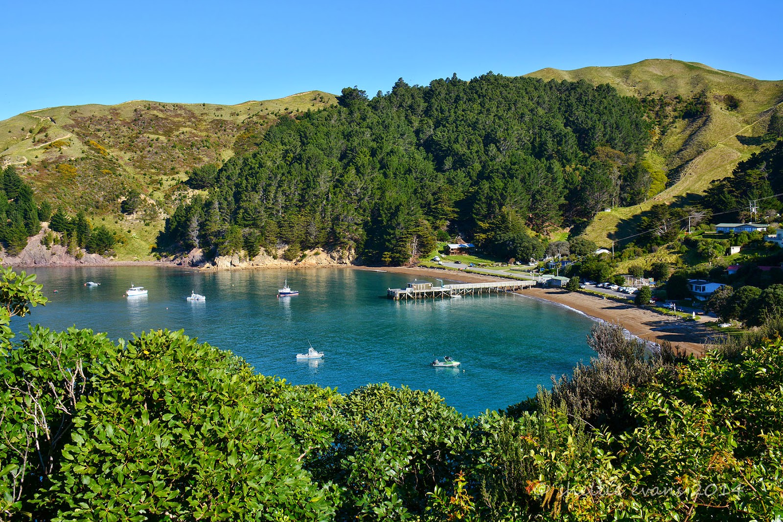 Two Go Tiki Touring: The Road to French Pass