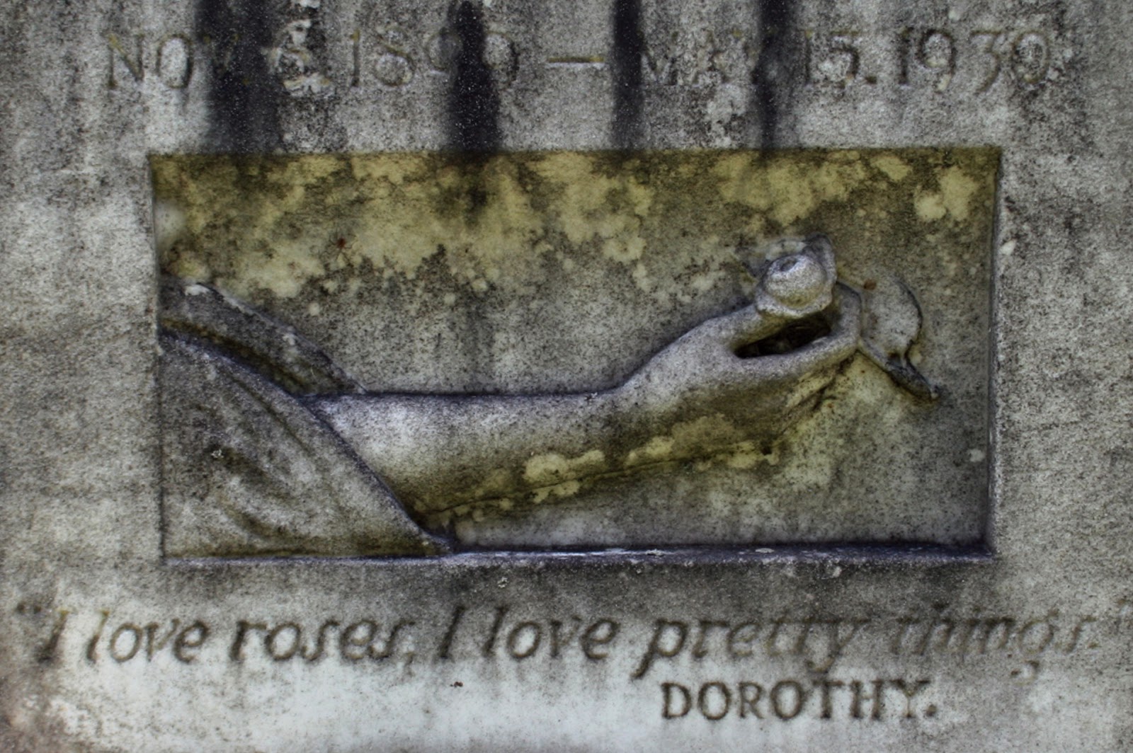 Taphophile Corner: the Rose