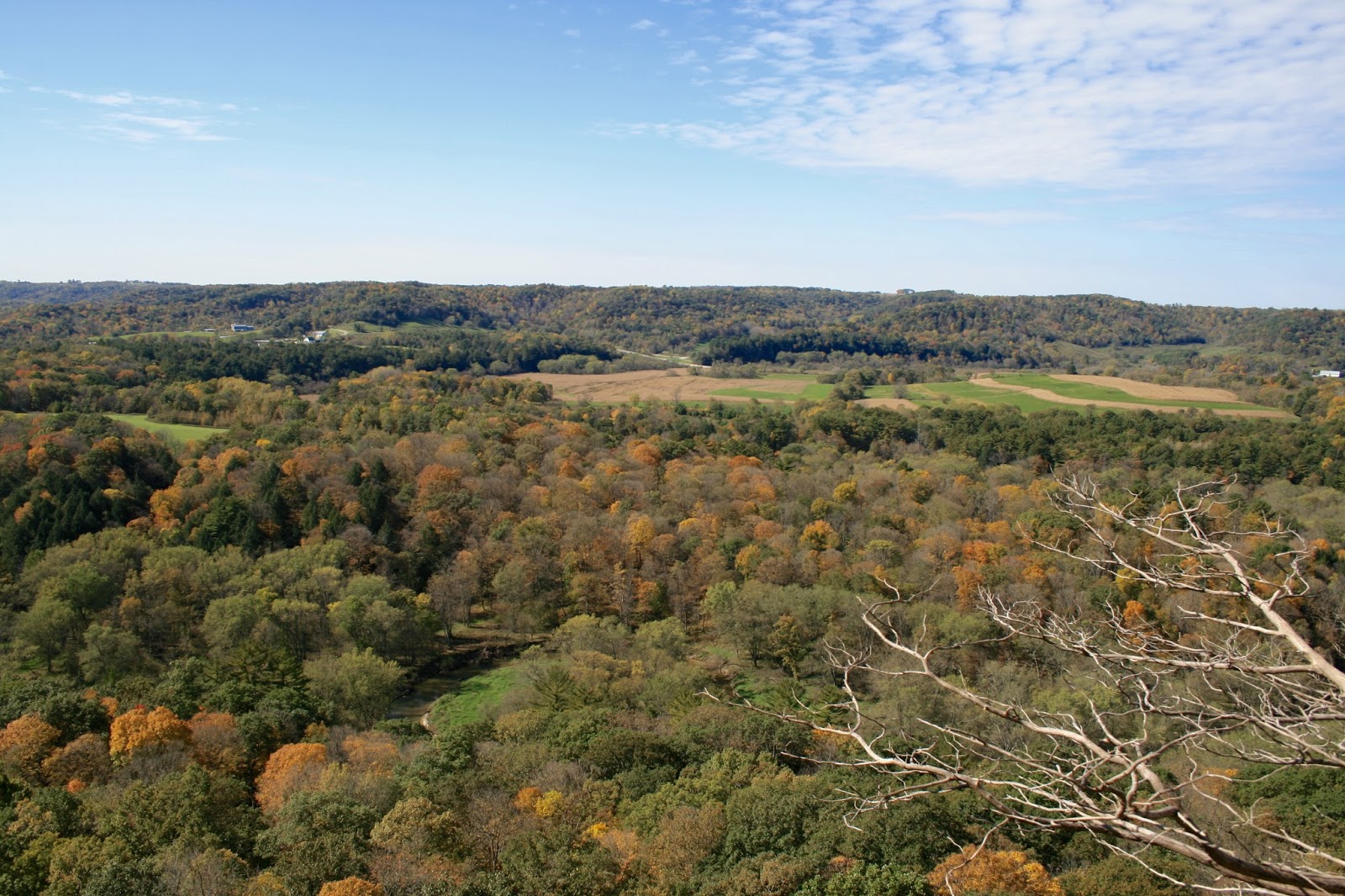 Amy's Creative Pursuits: A Fall Hike On Wildcat Mountain