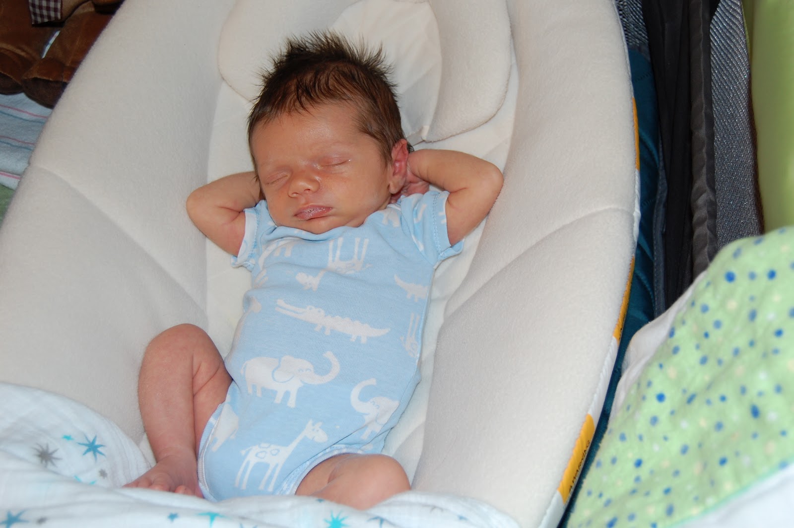 Nikki Picky: Cloning Babies