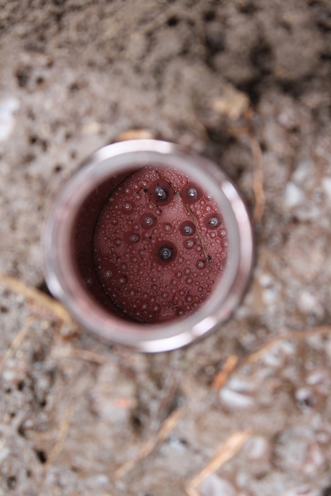 Once Upon a Family: Backyard Volcano Experiment