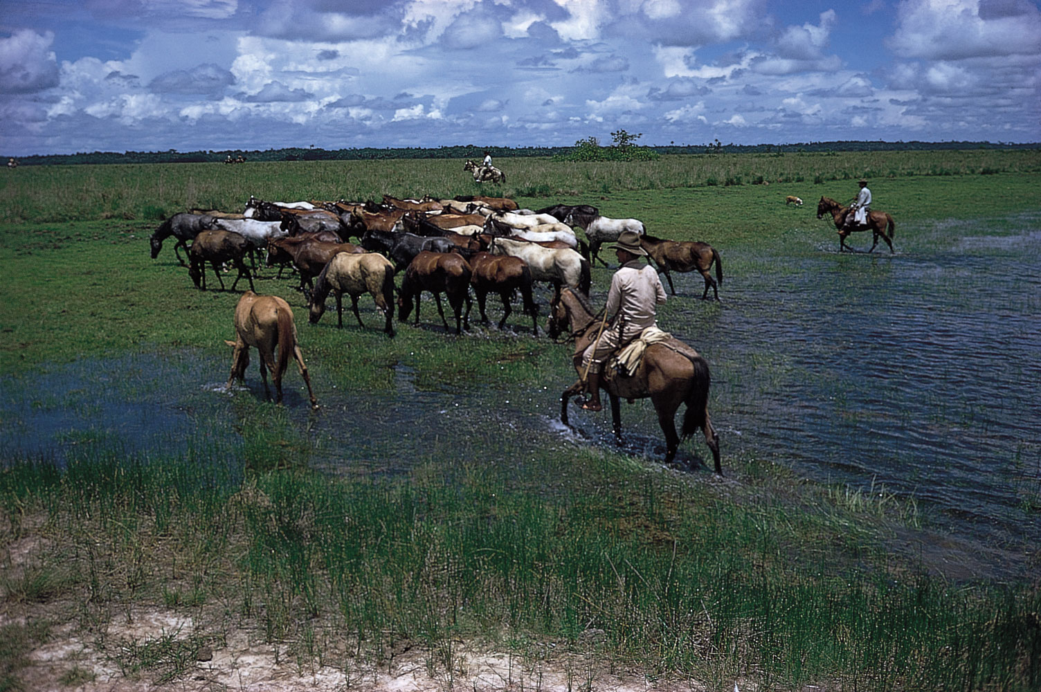 ARAUCA: LLANURAS ARAUCANAS