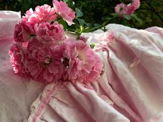 Cottage and Cabin Interiors and Collections