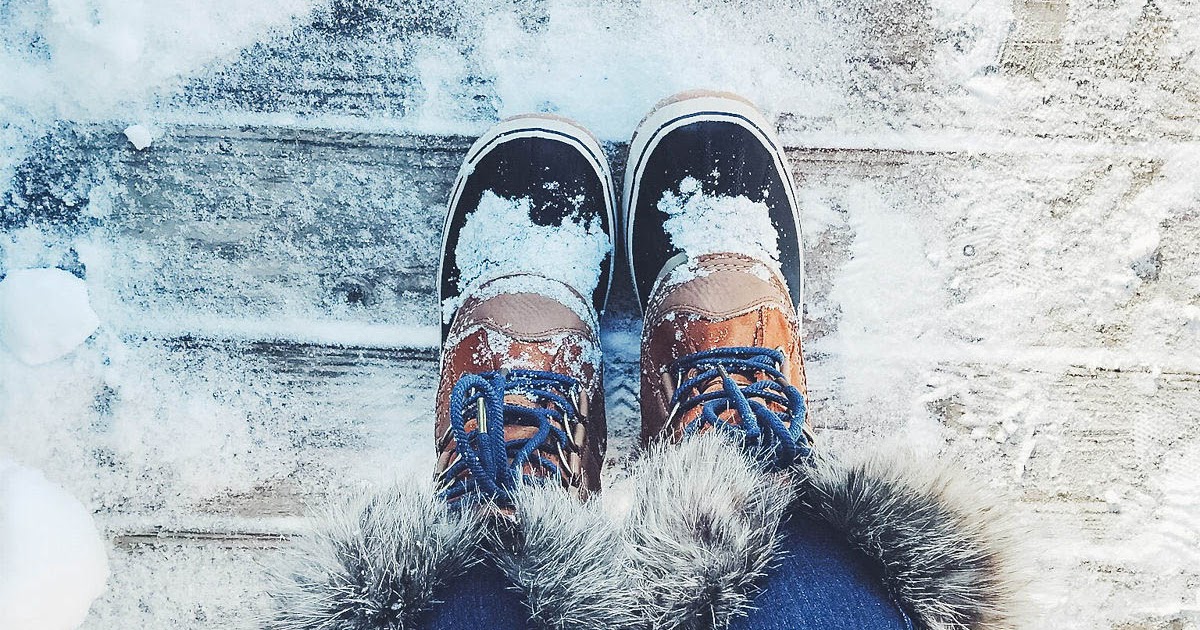 Winter Boots Diffuser Blend Recipe | The Daily Diffuser Blend