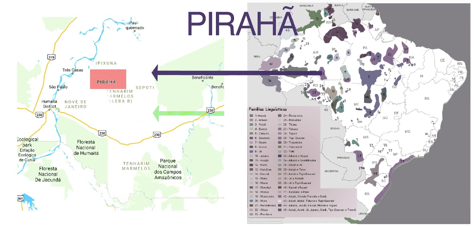 Povos Indígenas Brasileiros: Pirahã