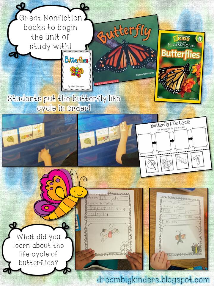 Dream Big Kinders: Butterfly Life Cycle - Nonfiction Reading Comprehension