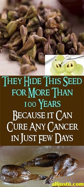 This Seed Can Cure Any Cancer In Just Few Days! Why Did They Hide This ...
