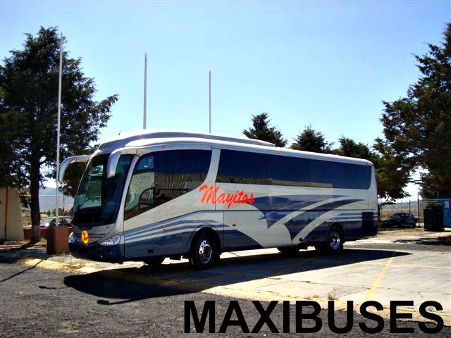MAXIBUSES: AUTOBUSES LOS MAYITOS