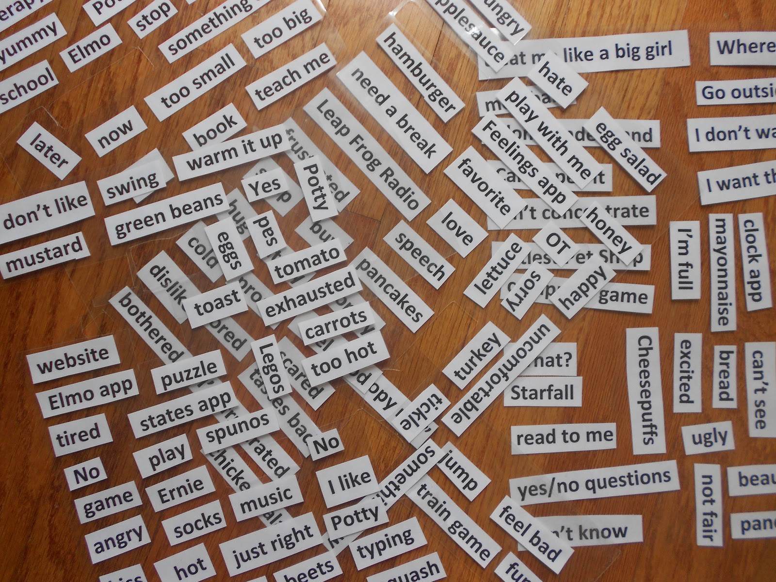 Where Lilli Blooms: Velcro Words