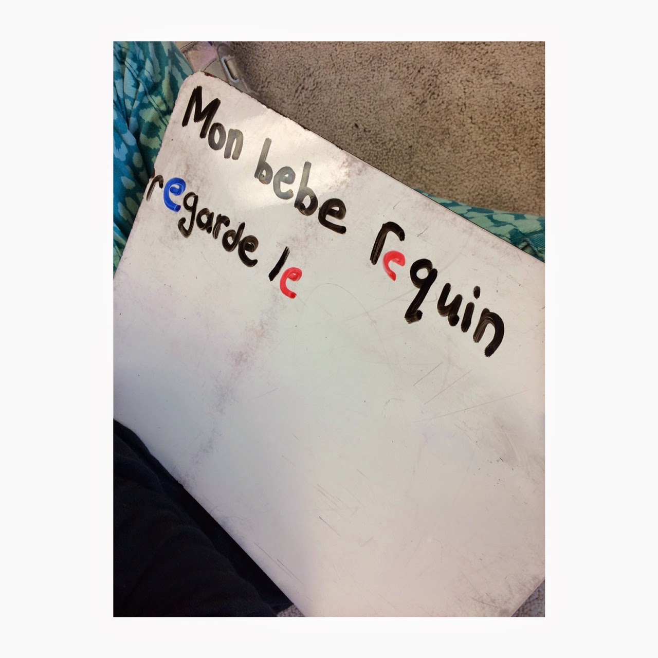 Reading sound centres - Primary French Immersion Resources