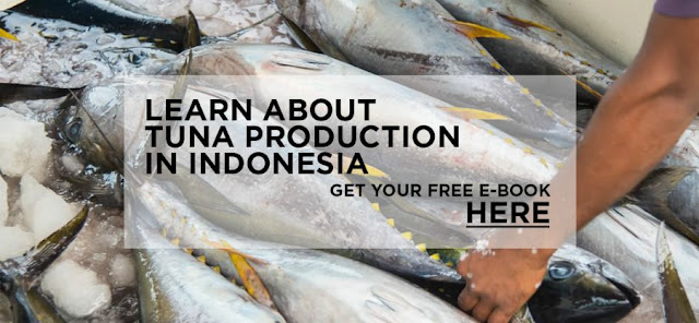 Yellowfin Tuna Factory, Indonesia Tuna Factory, Tuna Dry Fish ...