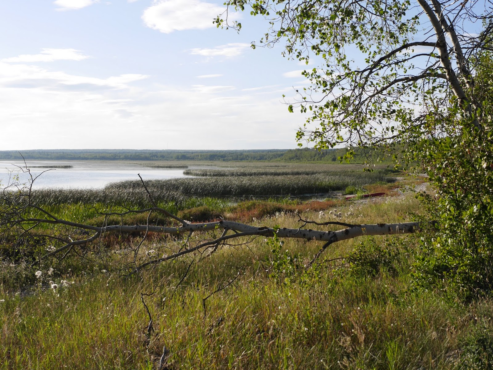 Shaw's Point Resort - Backwoods Mama