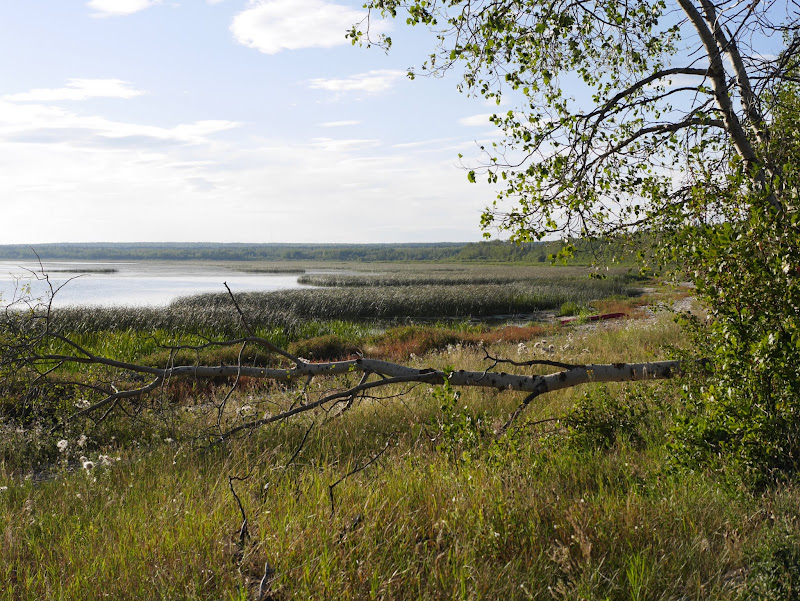 Shaw's Point Resort - Backwoods Mama
